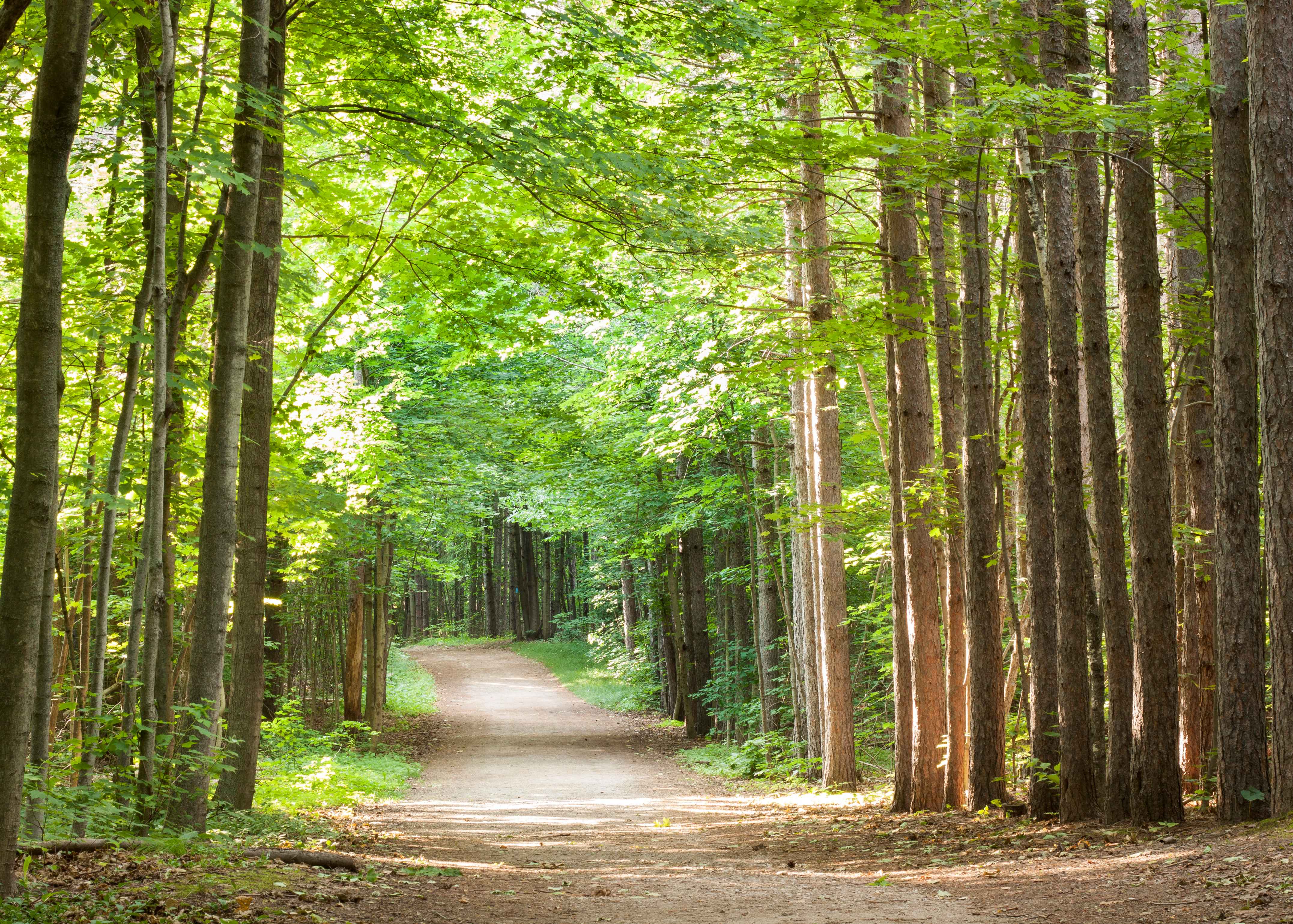 Conservation Halton Parks